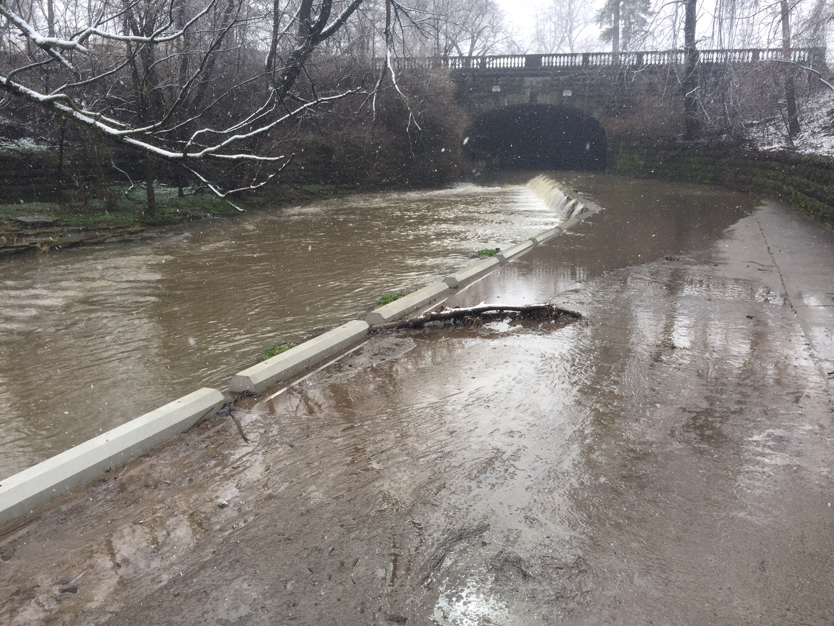 Marine Construction - Mark Cerrone