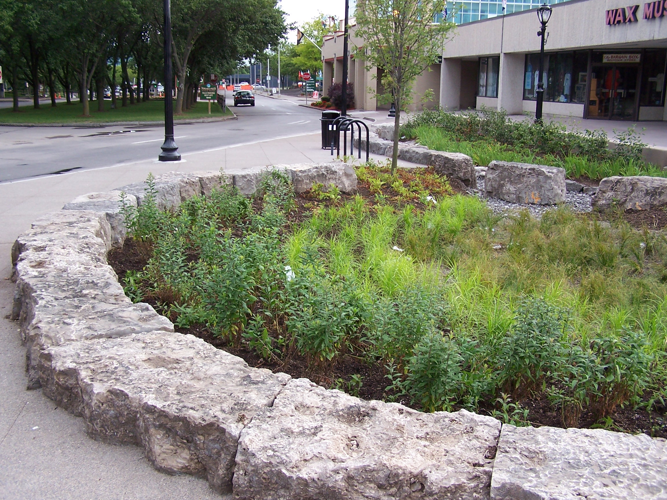 Old Falls Street - Mark Cerrone